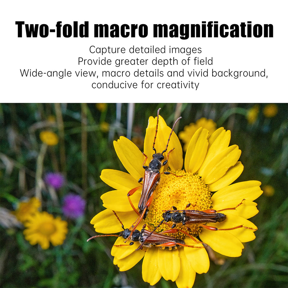 28mm F13 2X Macro Probe Lens Full Frame 90° View Free Switching Specia ...