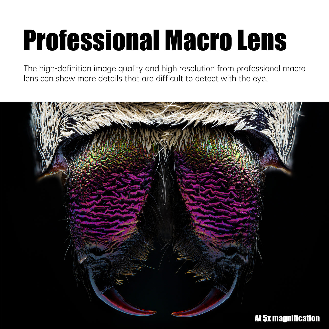 25mm F2.8 Full-frame Ultra Macro Lens for E/L/RF/Z/FX – AstrHori